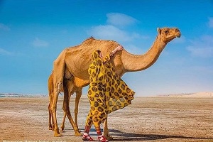 Iran 14-Day Tour with Qeshm & Hormoz - Iran Travel Agency